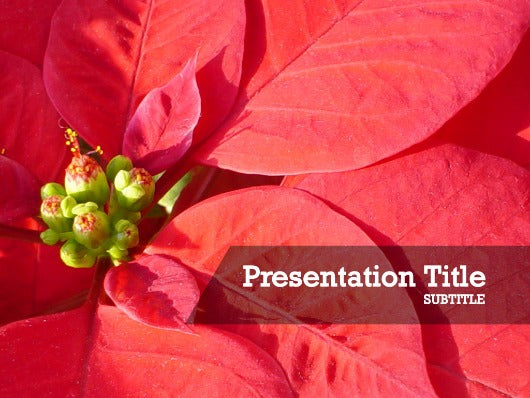 Free Christmas flowers Powerpoint template and Google Slides theme
