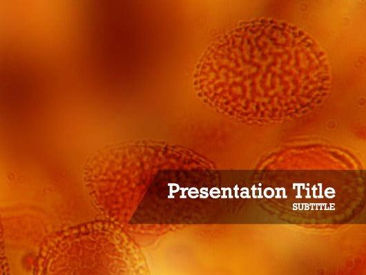 Free bacteria under microscope PowerPoint template and Google Slides t