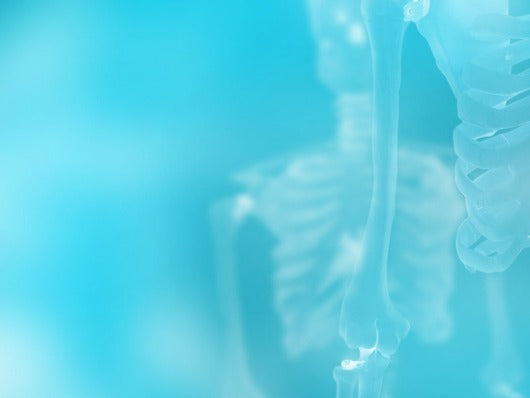 Free skeletons Powerpoint template and Google Slides theme